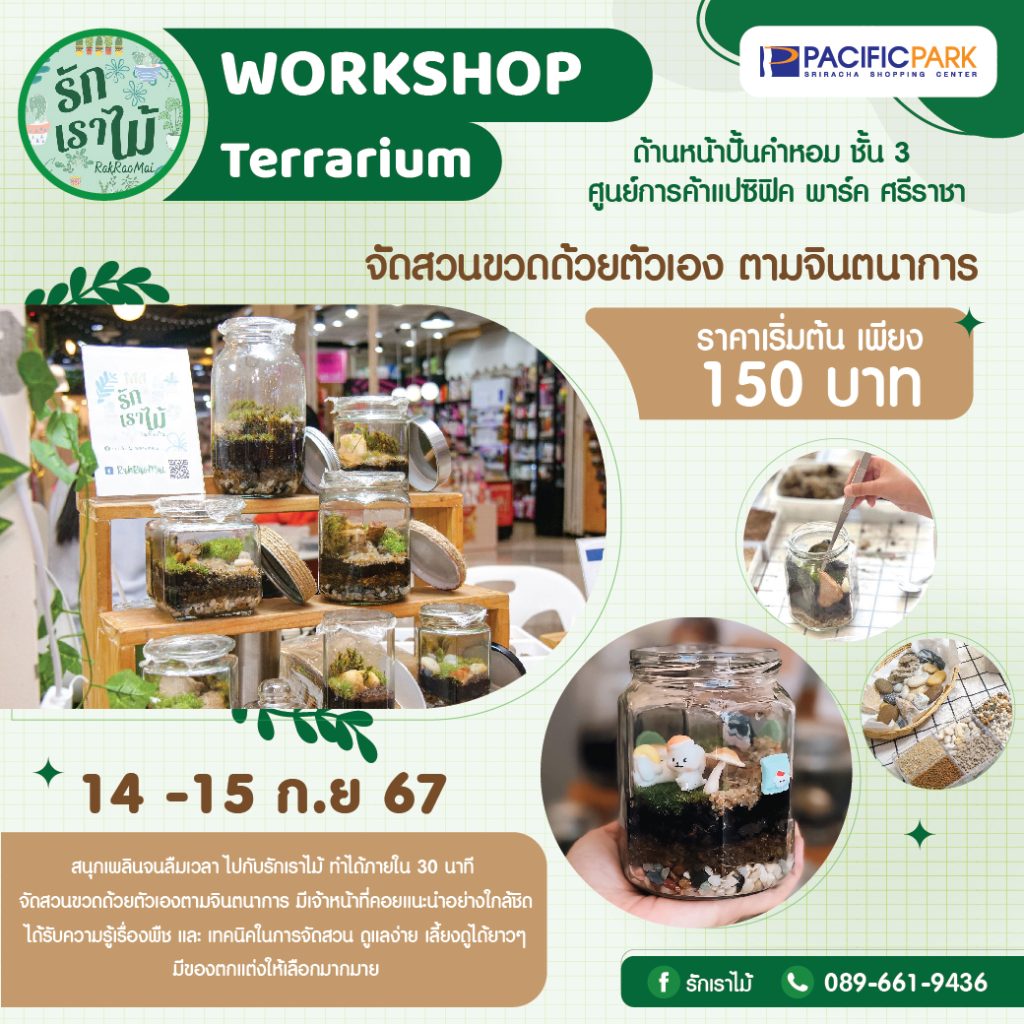 Workshop Terrarium — ศูนย์การค้าแปซิฟิค พาร์ค ศรีราชา